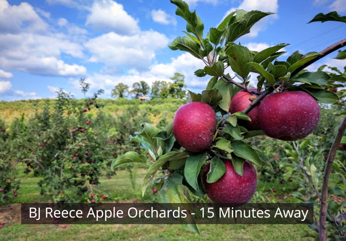 BJ-Reece-Apple-Orchards - Todd Withrow